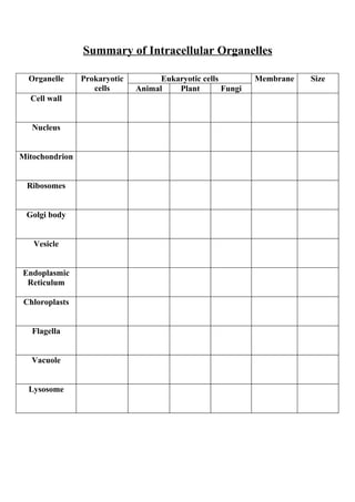 Summary Worksheet | DOC