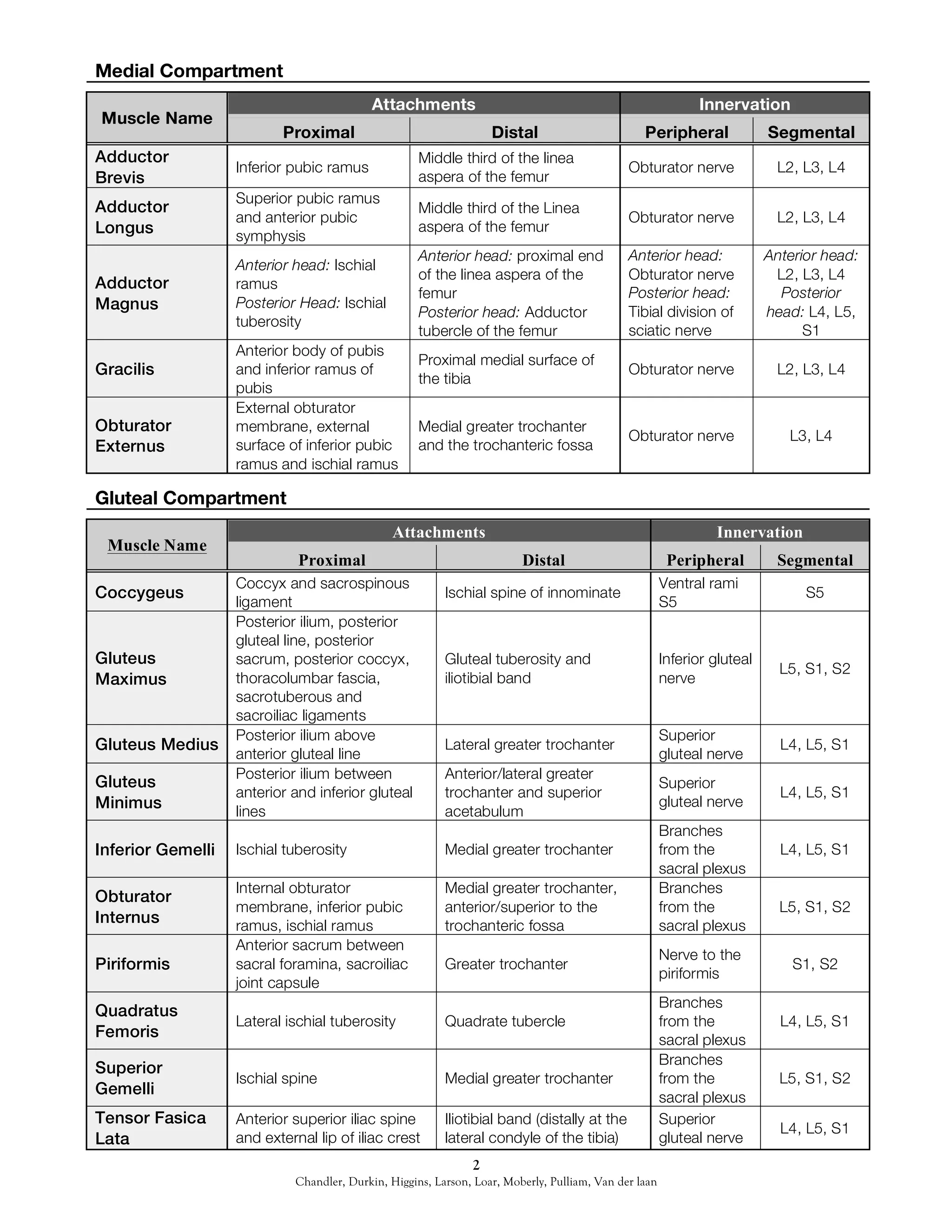 Arthrology Guide of the Lower Extremity | PDF