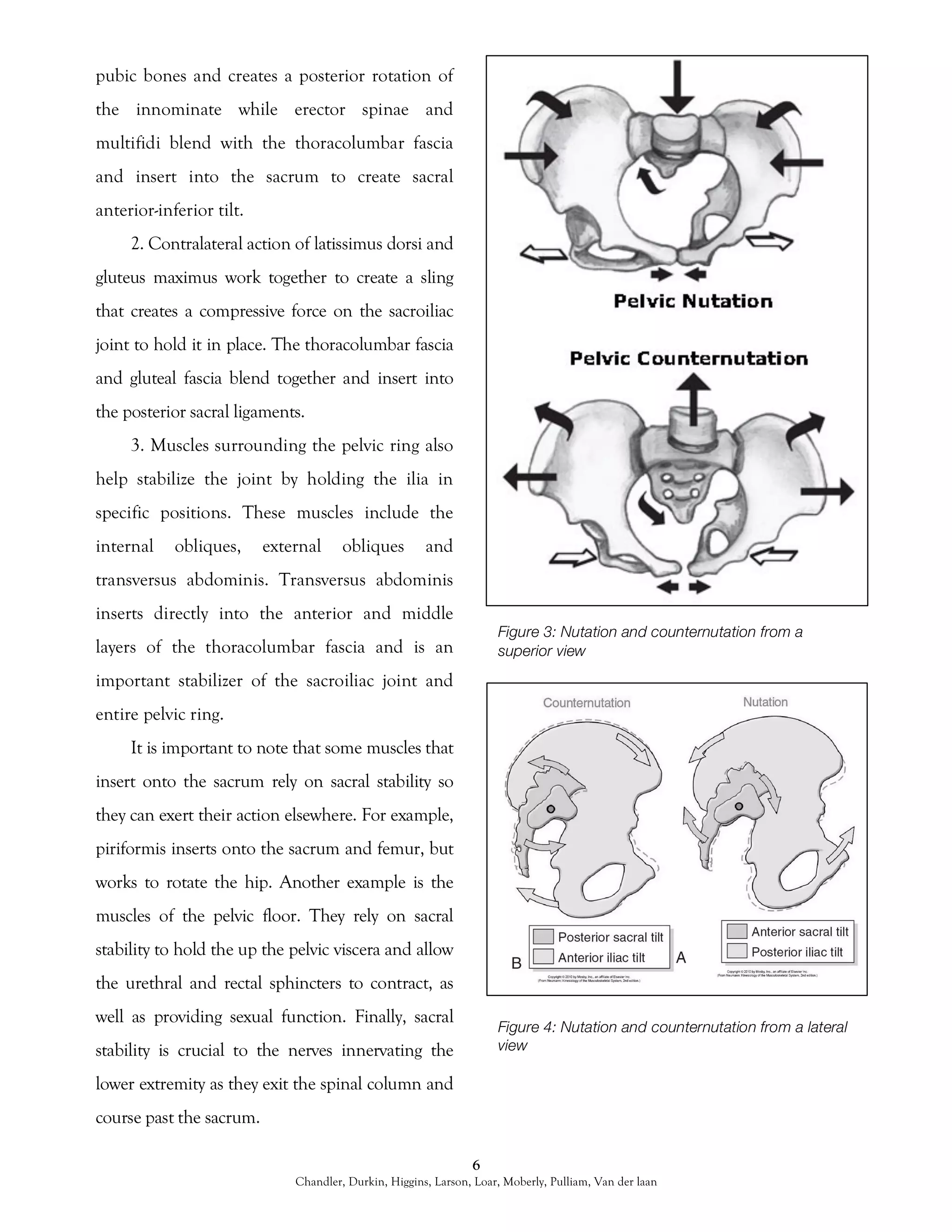 Arthrology Guide of the Lower Extremity | PDF