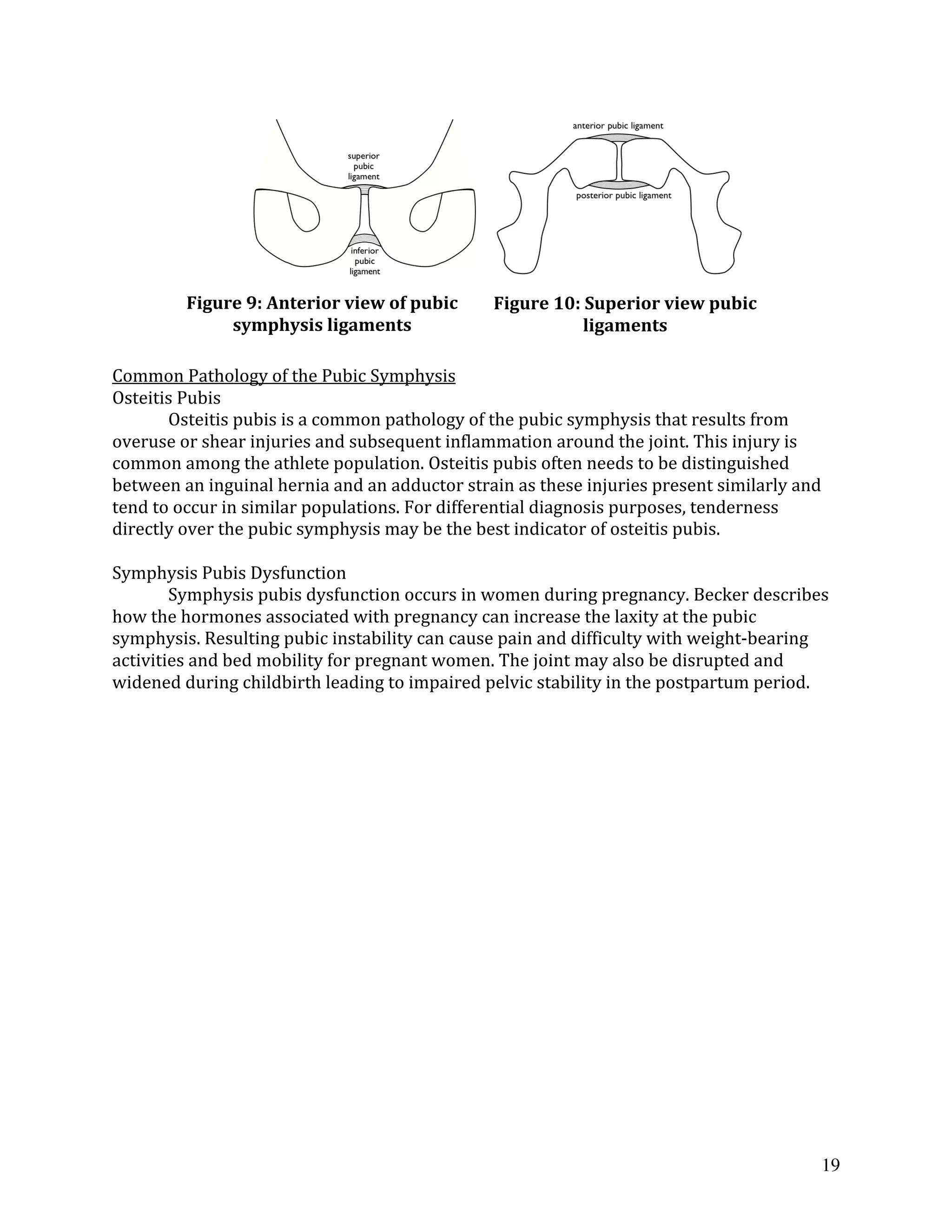 Lower Extremity Joint Guide | PDF