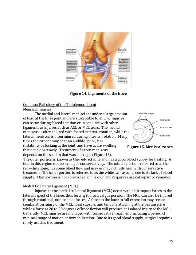 Lower Extremity Arthrology Guide