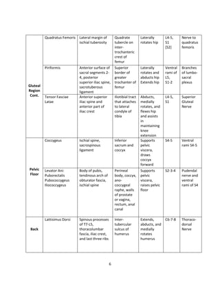 Arthrology Guide for the Lower Extremity | PDF