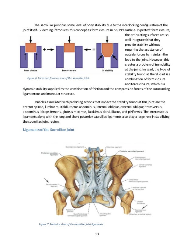 Sacroiliac Joint Force And Form Closure Physiopedia