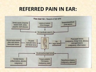 CLINICAL ASPECTS related to Ear anatomy.pptx