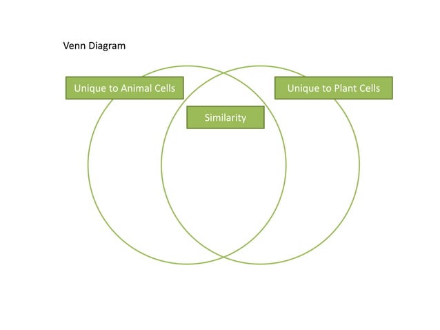 Table and Venn Diagram | PPTX