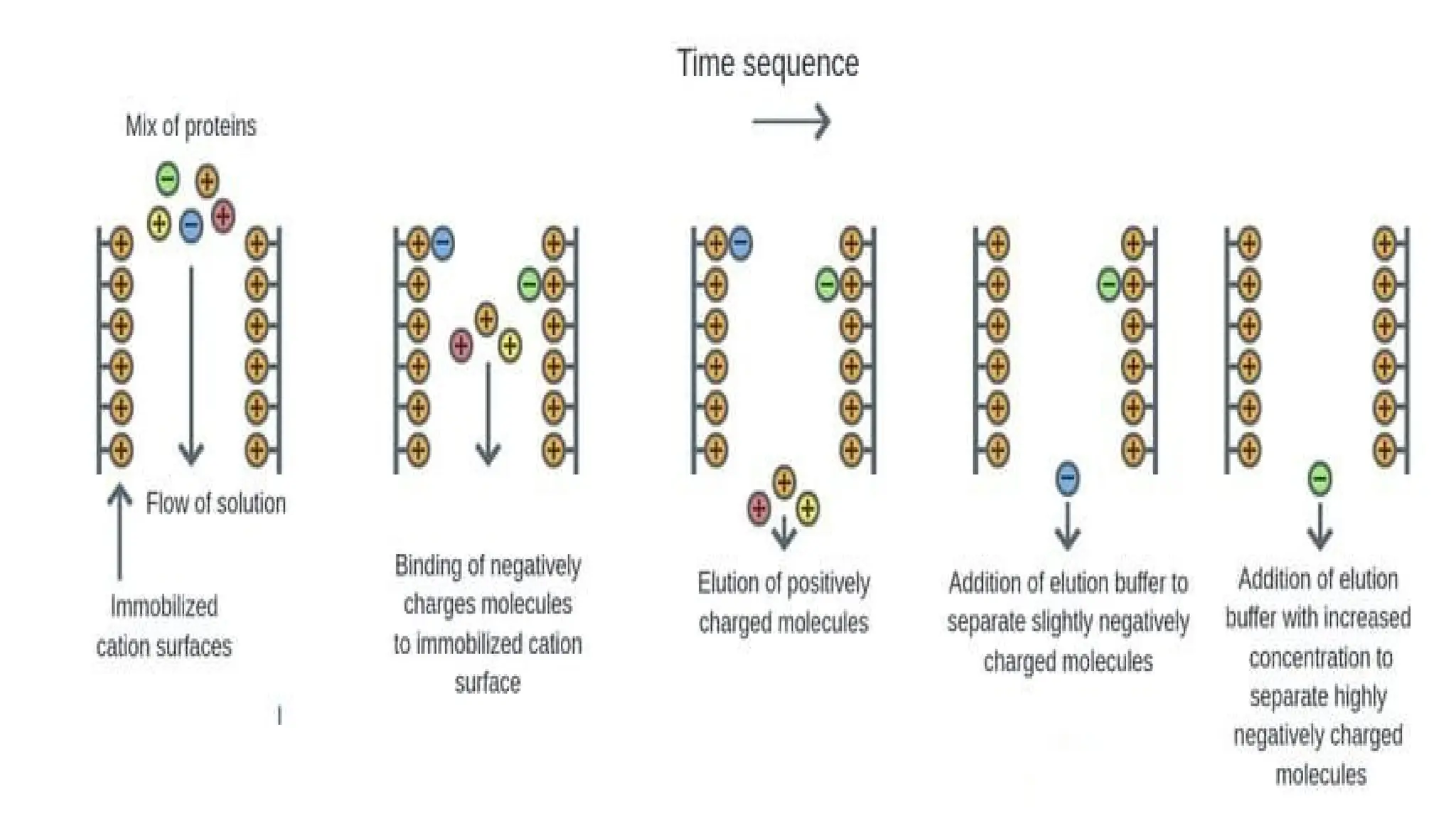 Table no 5.pptx of biochemistry practical | PPTX