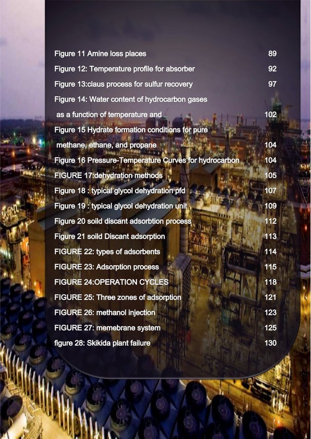 TABLE OF FIGURES.pdf