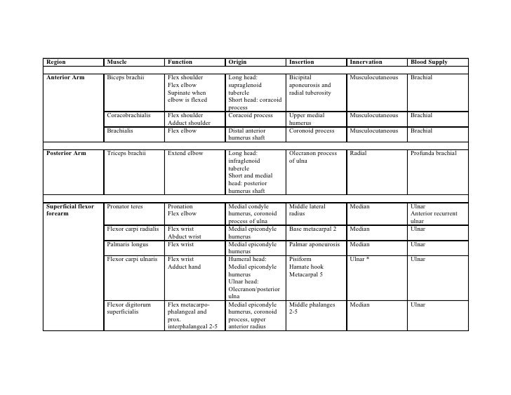 Table of upper limb muscles