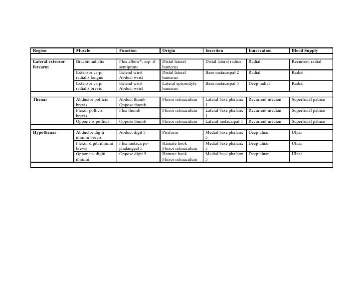 Table of upper limb muscles