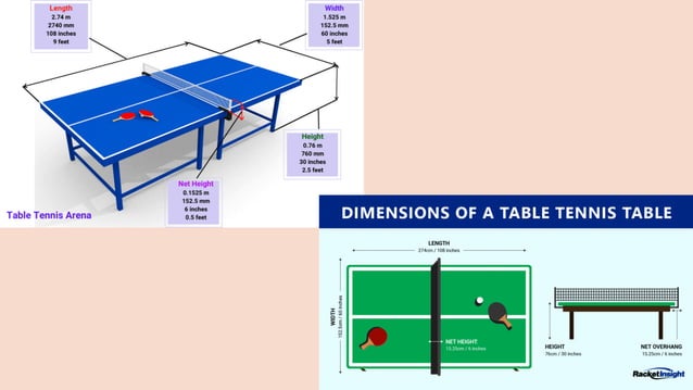 TABLE TENNIS REPORT.pdf | Table Tennis | Sports