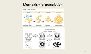 Tablet dosage form: Fformulation, manufacturing, adv. and disadvantages ...