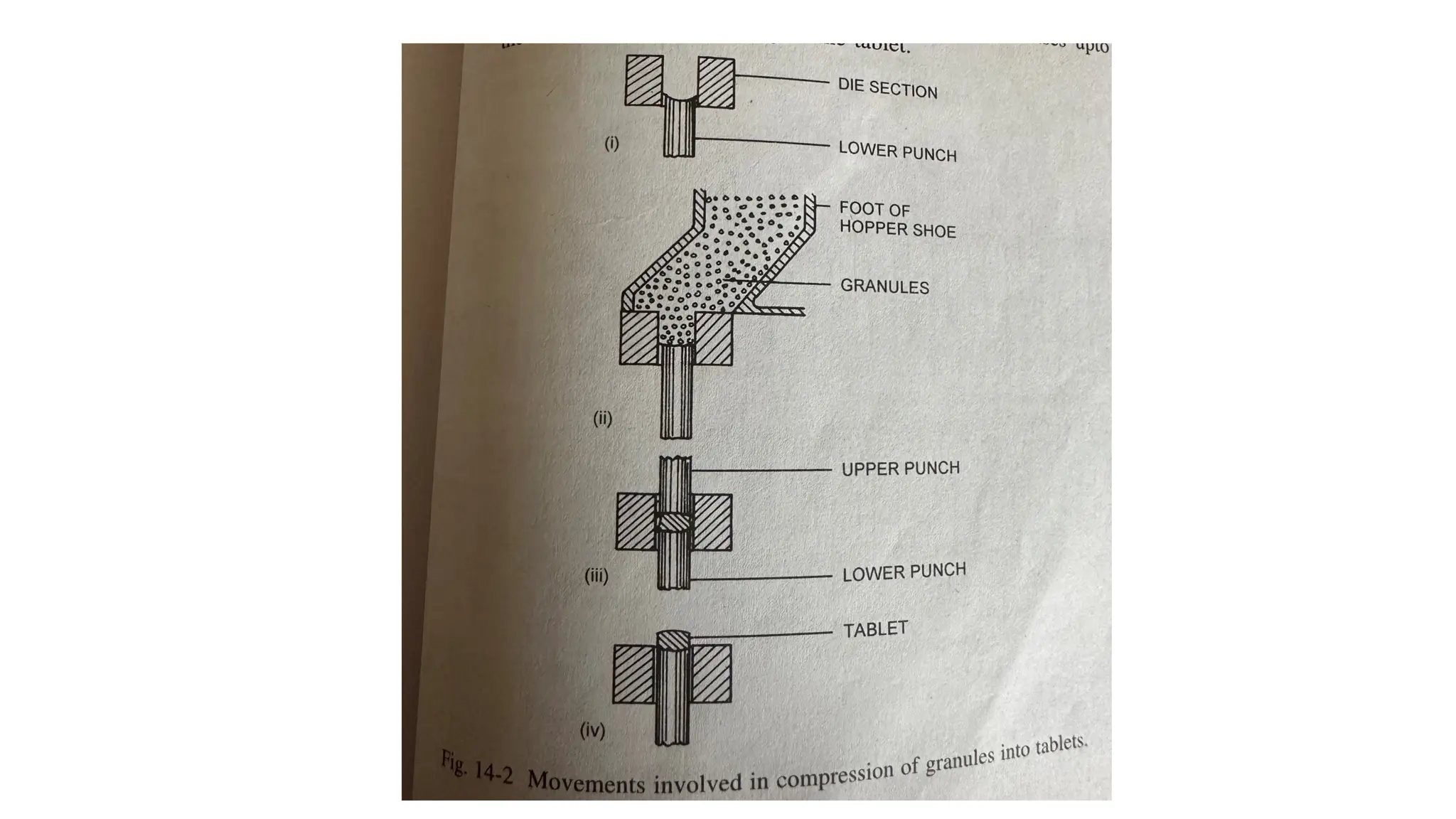 TABLETS- Coated & uncoated tablet, various modified release tablets | PPTX