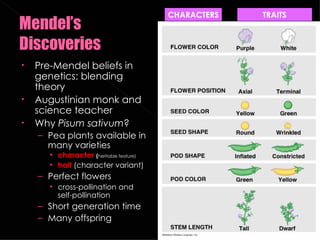 Taboo Rap Gen Lec | PPT | Flower Shopping | Shopping