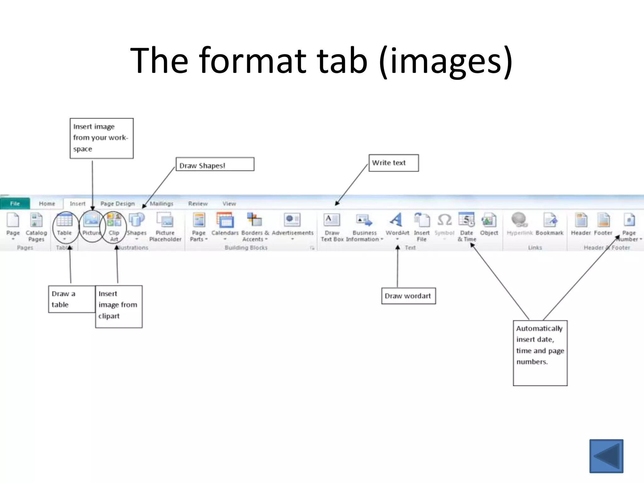 Tabs For Publisher | PPTX