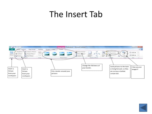 Tabs For Publisher | PPTX