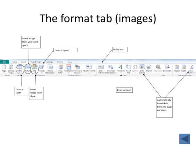 Tabs For Publisher | PPT