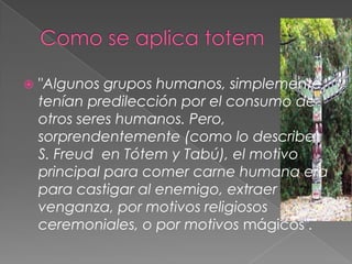 Tabù, totem y religiòn | PPTX