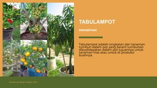 Tabulampot | PPTX