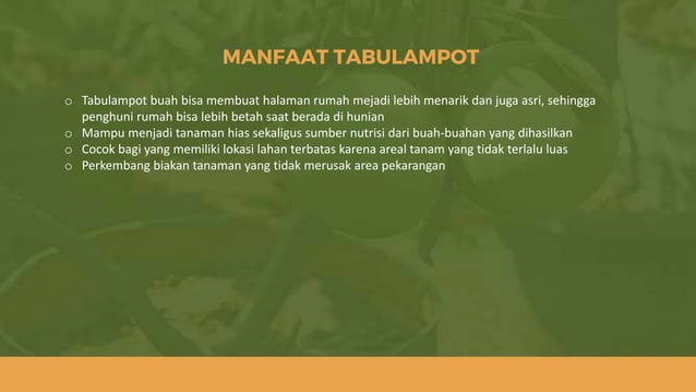 Tabulampot | PPTX