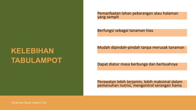 Tabulampot | PPTX
