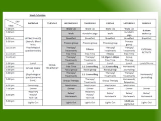 Tabula Rasa Retreat presentation at The European Ibogaine Forum 2018 | PPT