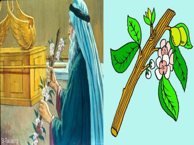 Tabut perjanjian dirampas | PPT