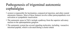 TTrigeminal autonomic cephalgia - primary hedache | PPTX | Brain and ...