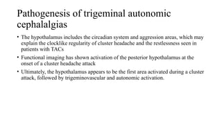 TTrigeminal autonomic cephalgia - primary hedache | PPTX | Brain and ...