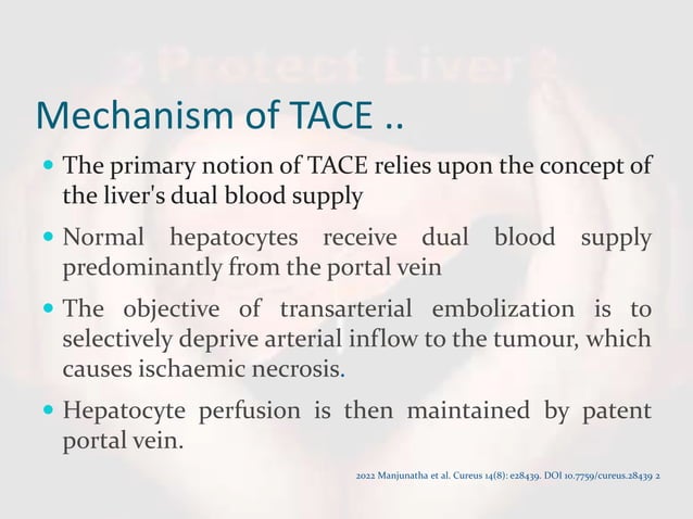 TACE- As a management option of HCC.pptx | Blood Disorders | Diseases ...