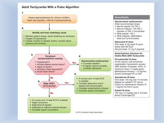 Adult tachycardia | PPT