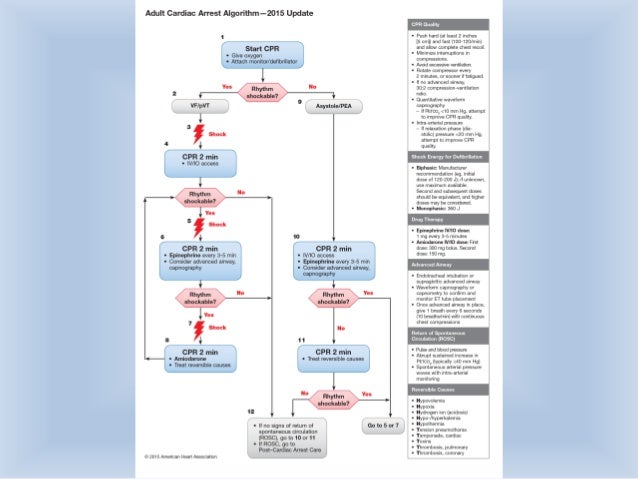 Adult tachycardia