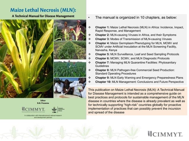 Tackling maize lethal necrosis (mln), a complex disease in eastern ...