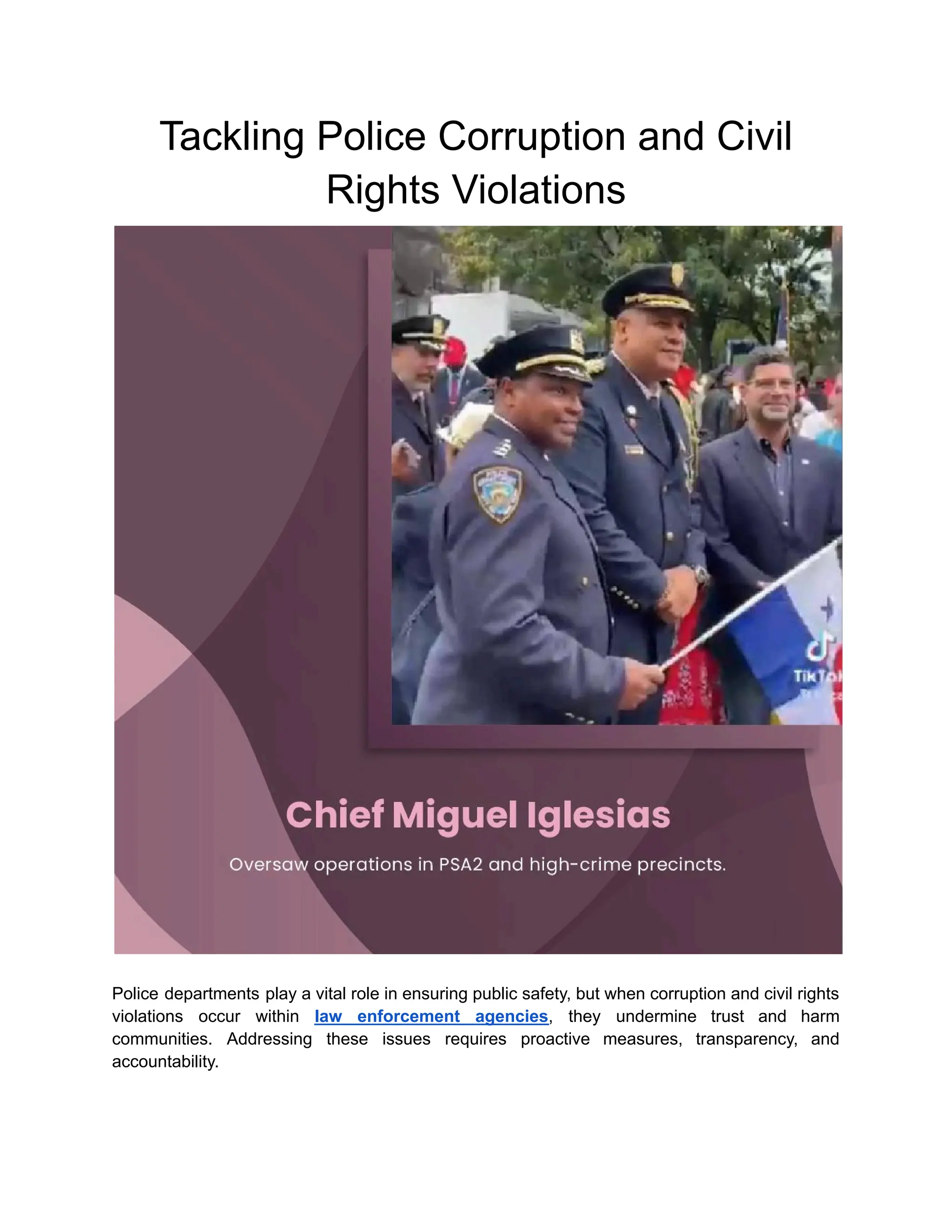 Tackling Police Corruption and Civil Rights Violations.pdf