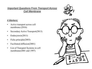 Transport across cell membrane basics.ppt