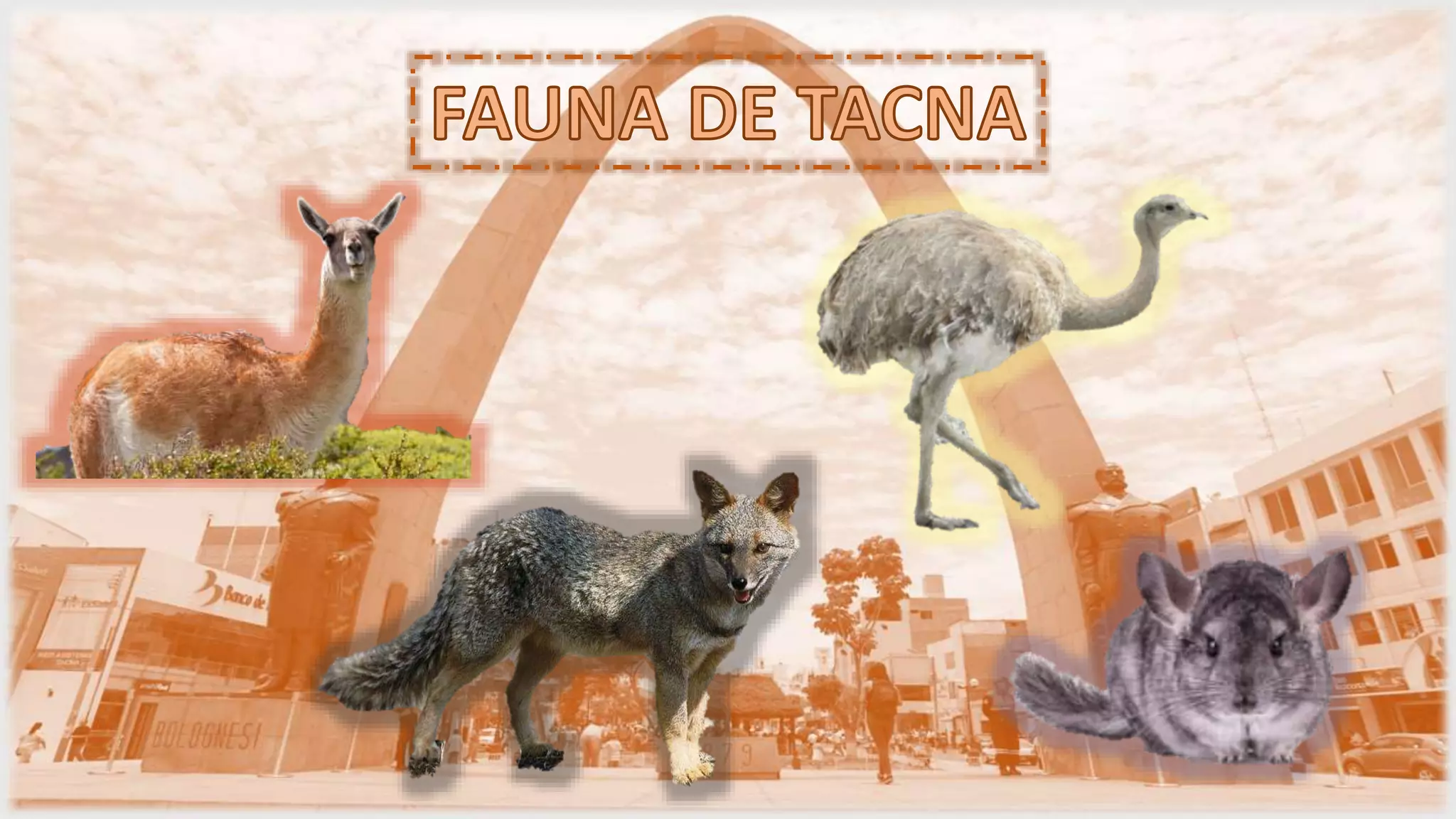 Tacna exposicion | PPTX