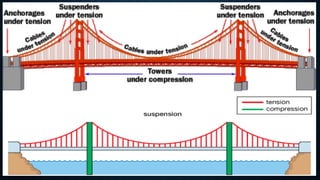 Tacoma narrows bridge collapse | PDF