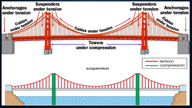 Tacoma narrows bridge collapse | PDF | North America Travel | Travel ...