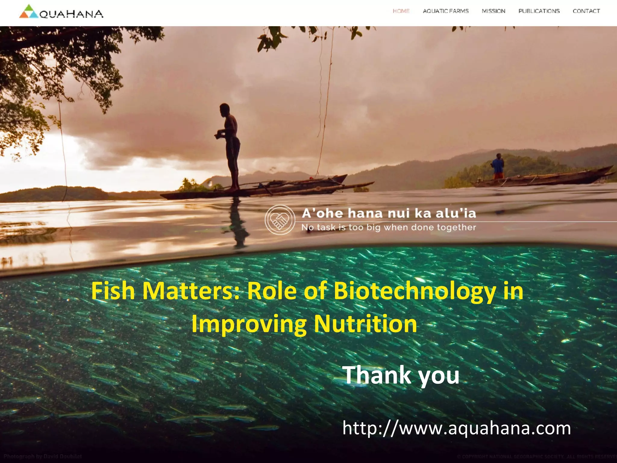 Fish for all: role of biotechnology in improving nutrition | PPT