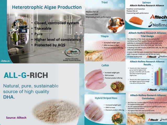 Fish for all: role of biotechnology in improving nutrition | PPT