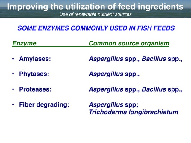 Fish for all: role of biotechnology in improving nutrition | PPT