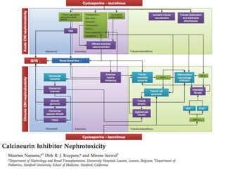Tacrolimus induced salt loosing nephropathy | PPTX