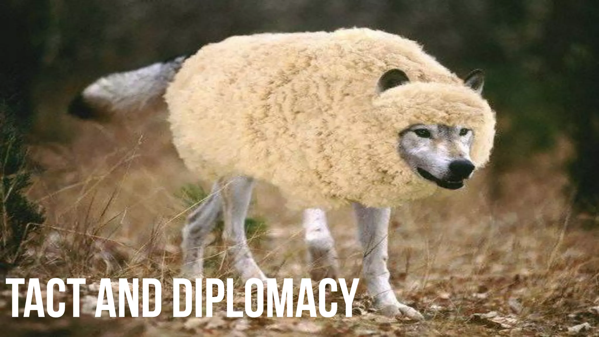 Tact and Diplomacy | PDF