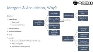 Tactical Decision Making Model - WIP.pptx
