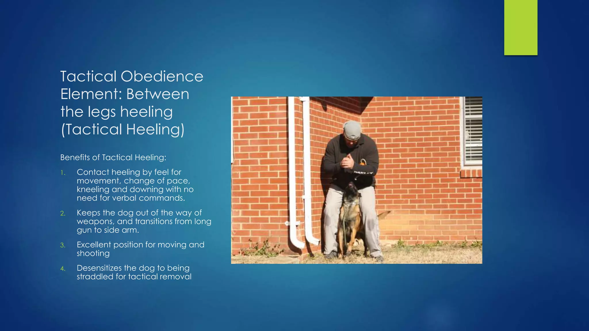 Tactical Obedience For Police K9s Edited. pptx | PPTX