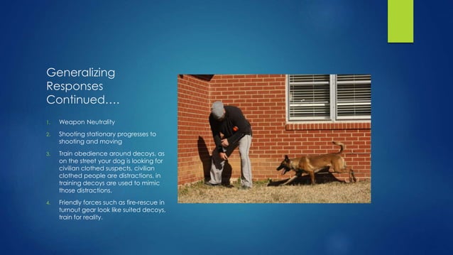 Tactical Obedience For Police K9s Edited. pptx | PPTX | Dogs | Pets