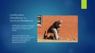 Tactical Obedience For Police K9s Edited. pptx | PPTX