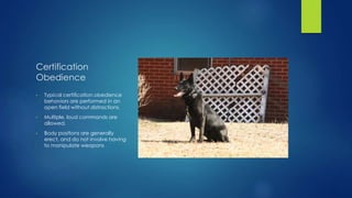 Tactical Obedience For Police K9s Edited. pptx | PPTX