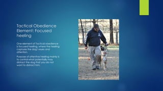 Tactical Obedience For Police K9s Edited. pptx | PPTX
