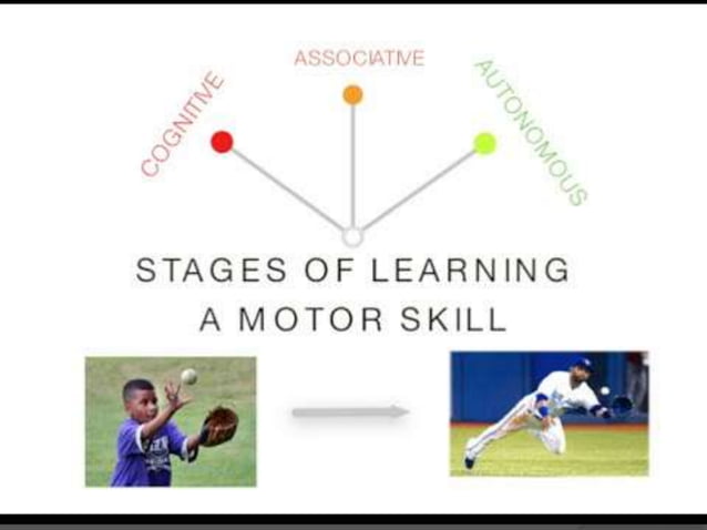 Tactics, technique and skills training | PPTX