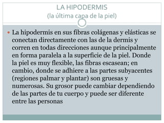 Sentido del tacto (fisiologia) | PPTX